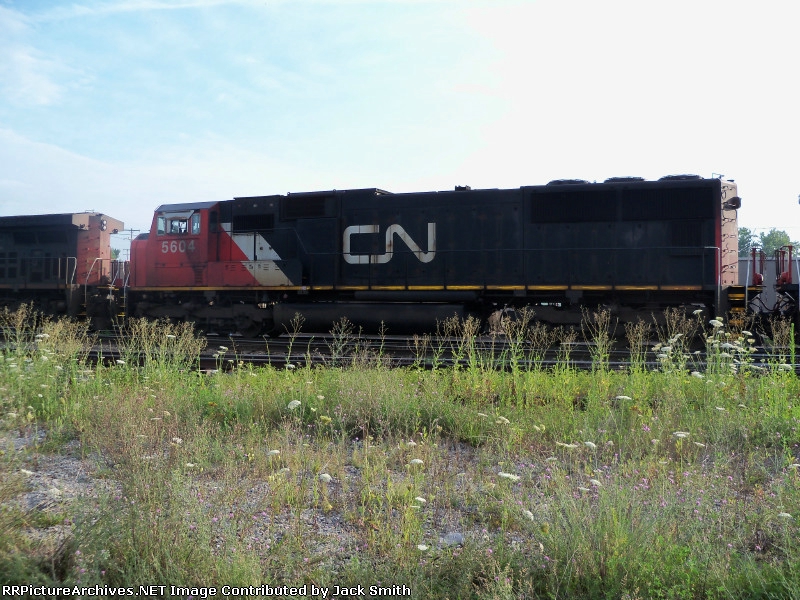 CN 5604